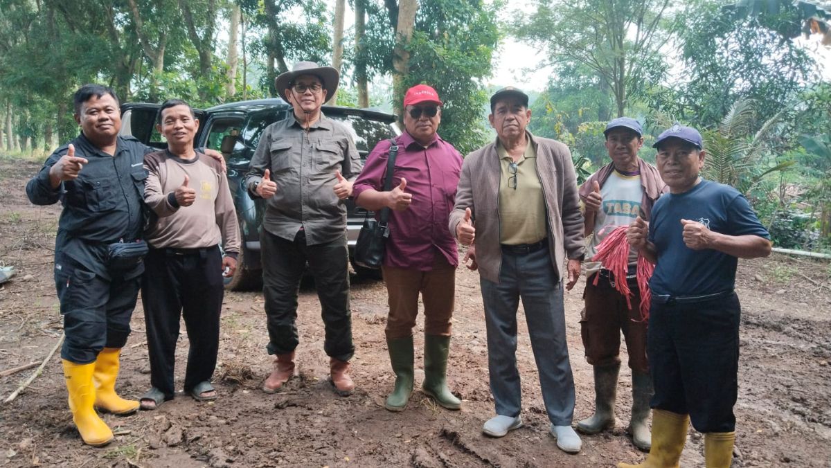 LOGNEWS.CO.ID - LOGNEWS.CO.ID